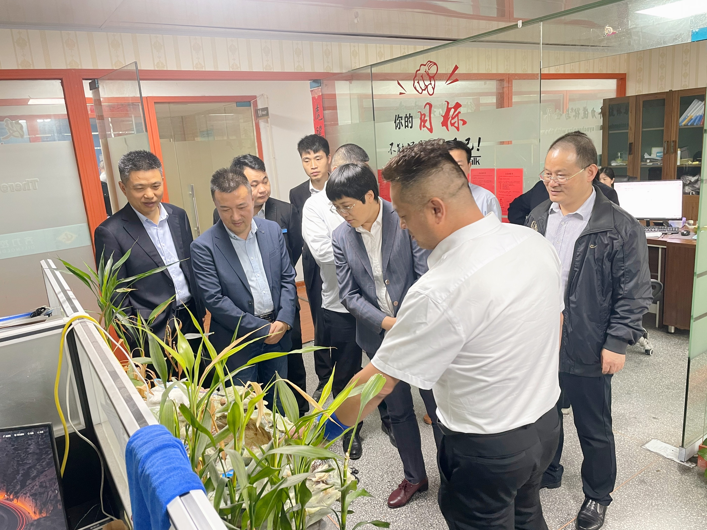 The head of Huaining County, Anhui Province--Chen Hong and other ...